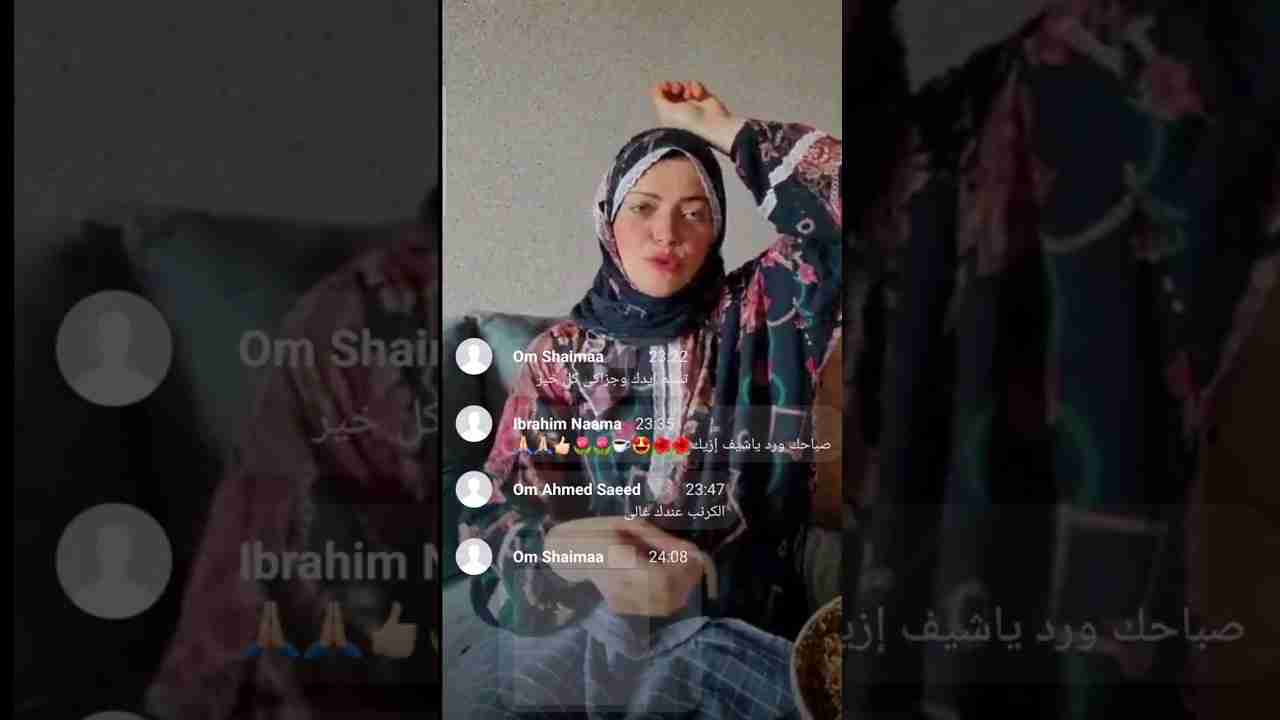 الفرق بين الحرامى الصغير والحرامى الكبير جنية ونص‼️ #rasha_elshami #رشا_الشامى